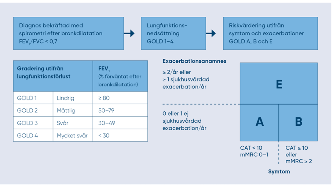 DEL 1B- Fakta om KOL